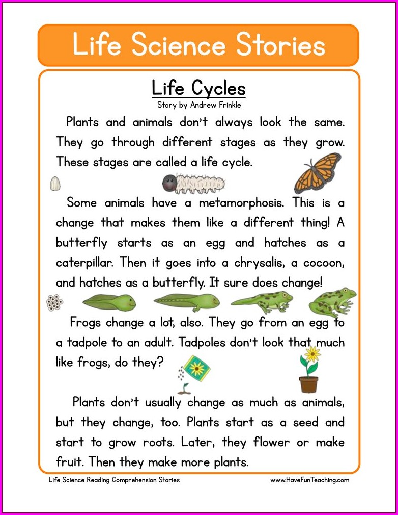 Human Life Cycle Sequencing Worksheet