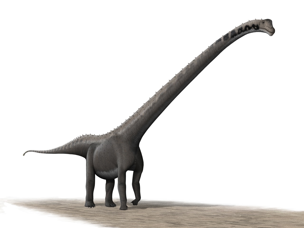 The Top 10 Largest Dinosaurs Ever To Have Lived