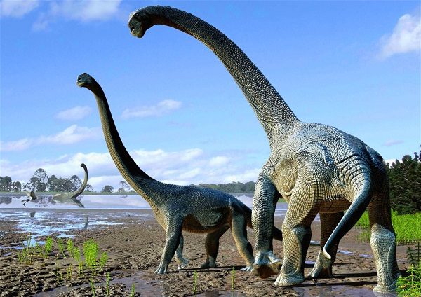 Ten Of The Worlds Tallest Dinosaurs That Ever Lived