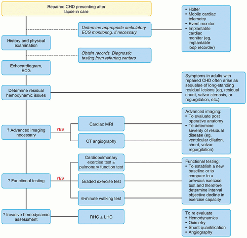 Adult Congenital Heart Disease Thoracic Key