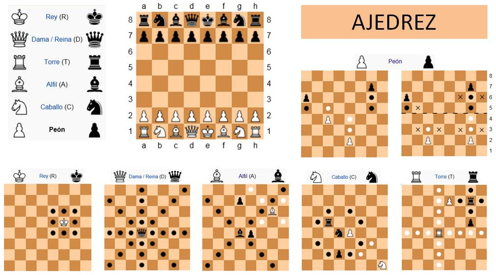 Reglas Y Fundamentos Maestria En El Ajedrez