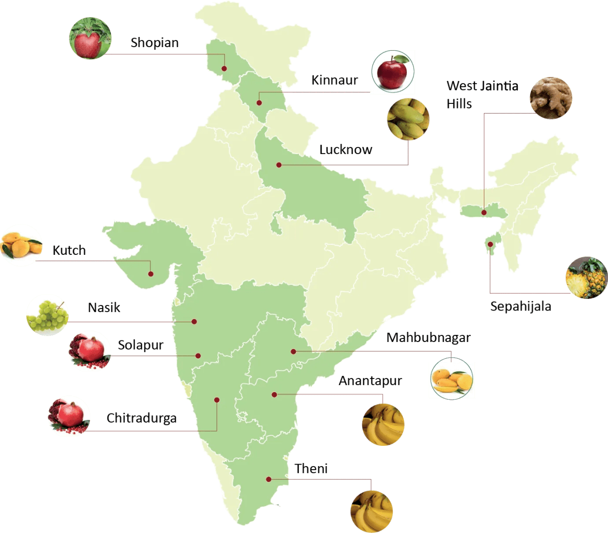 Agriculture Horticulture Clusters Of India Upsctree