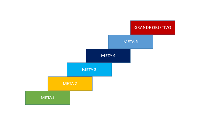 Metas E Objetivos De Curto E Longo Prazos