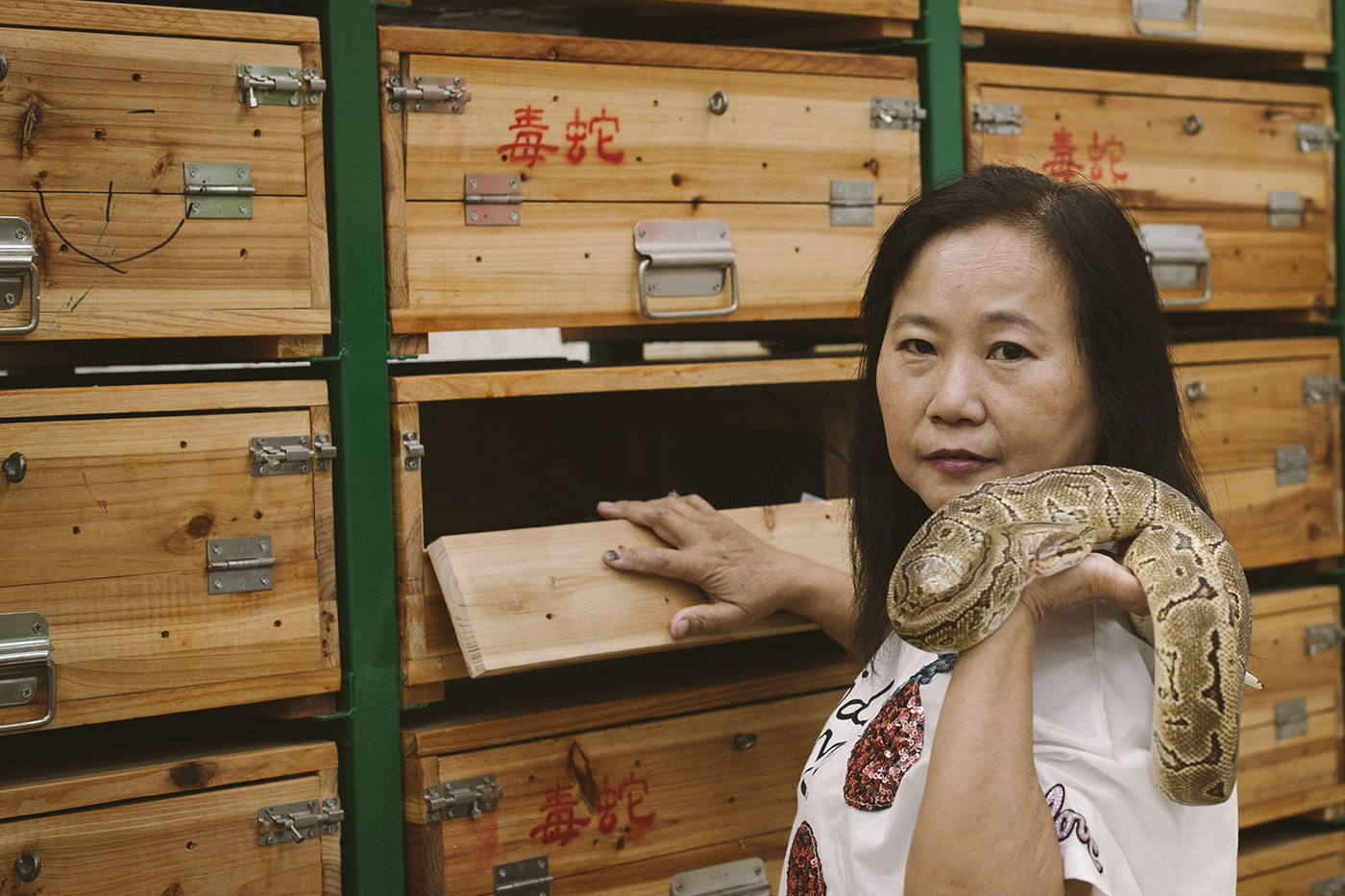 Snake Soup How A Cold Blooded Reptile Became Hong Kongs Winter Warmer
