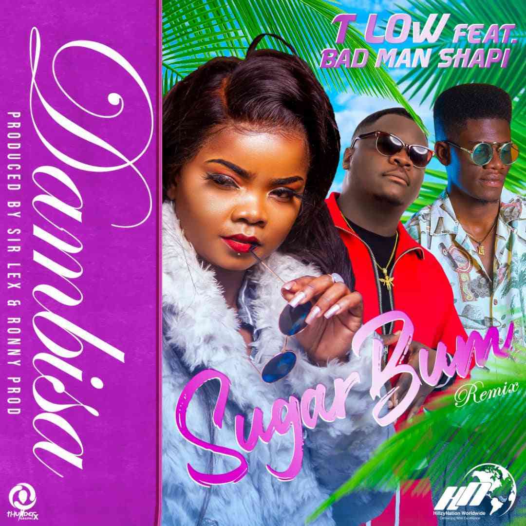 Dambisa X T Low Ft Badman Shapi “sugar Bum” Zambian Music Blog