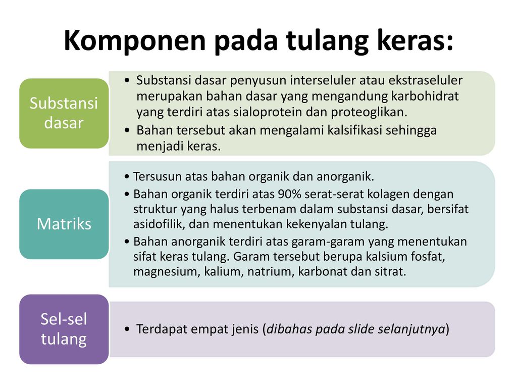 Matriks Dari Tulang Kompak Bersifat Sinau