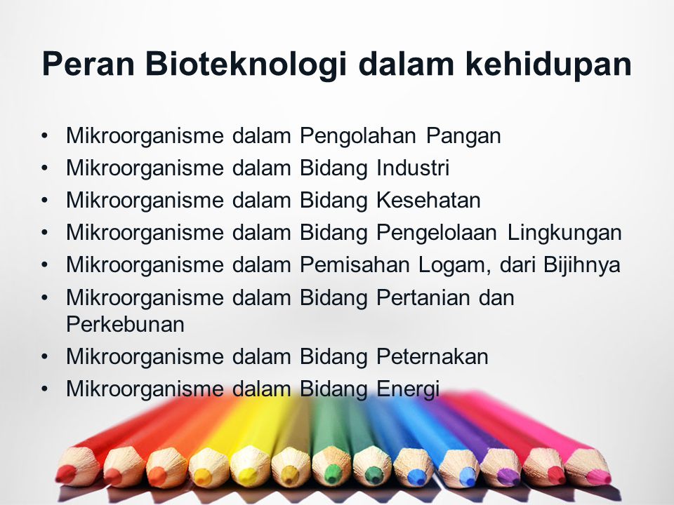 Peran Mikroorganisme Dalam Penerapan Bioteknologi Materi Kelas My Xxx