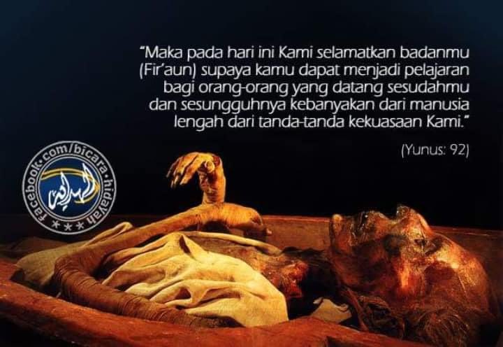 Bukti Kebenaran Al Quran Brain