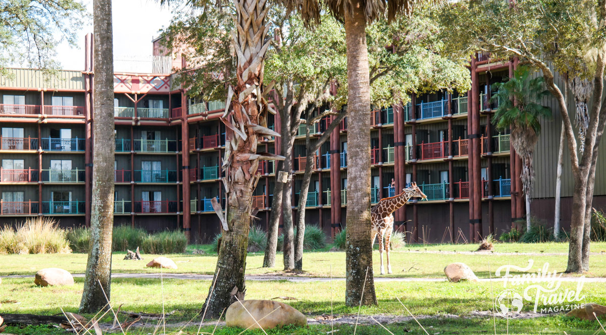 See Animals Right At Disneys Animal Kingdom Lodge Review