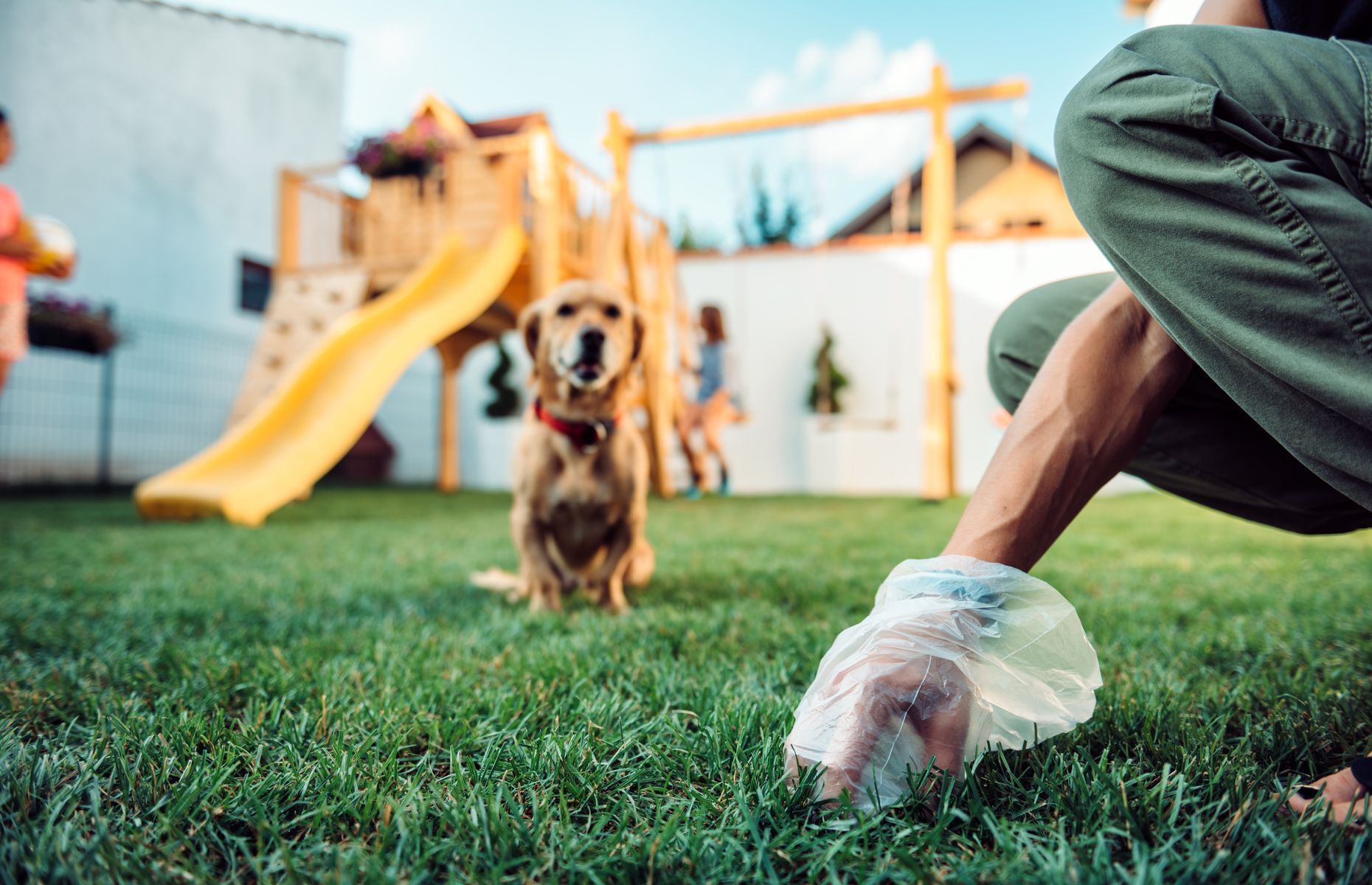 20 Signes Que Votre Chien Est Stressé Et Comment Le Calmer