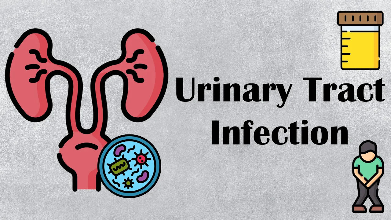 Urinary Tract Infection Uti Causes Risk Factors Signs And Symptoms