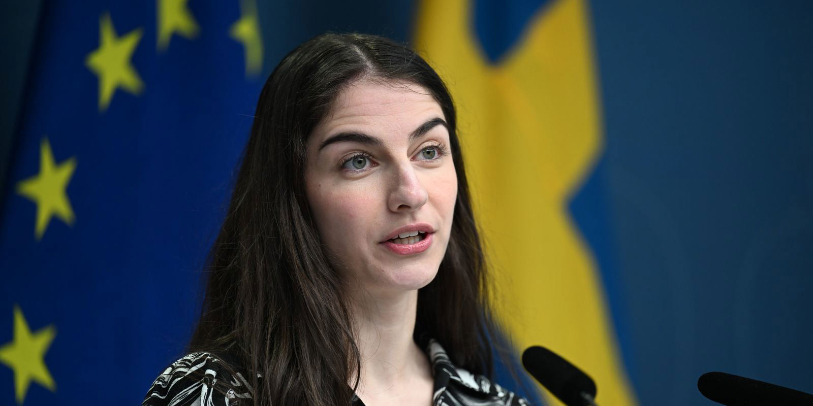 Mp Bakom Ny Ku Anmälan Mot Romina Pourmokhtari