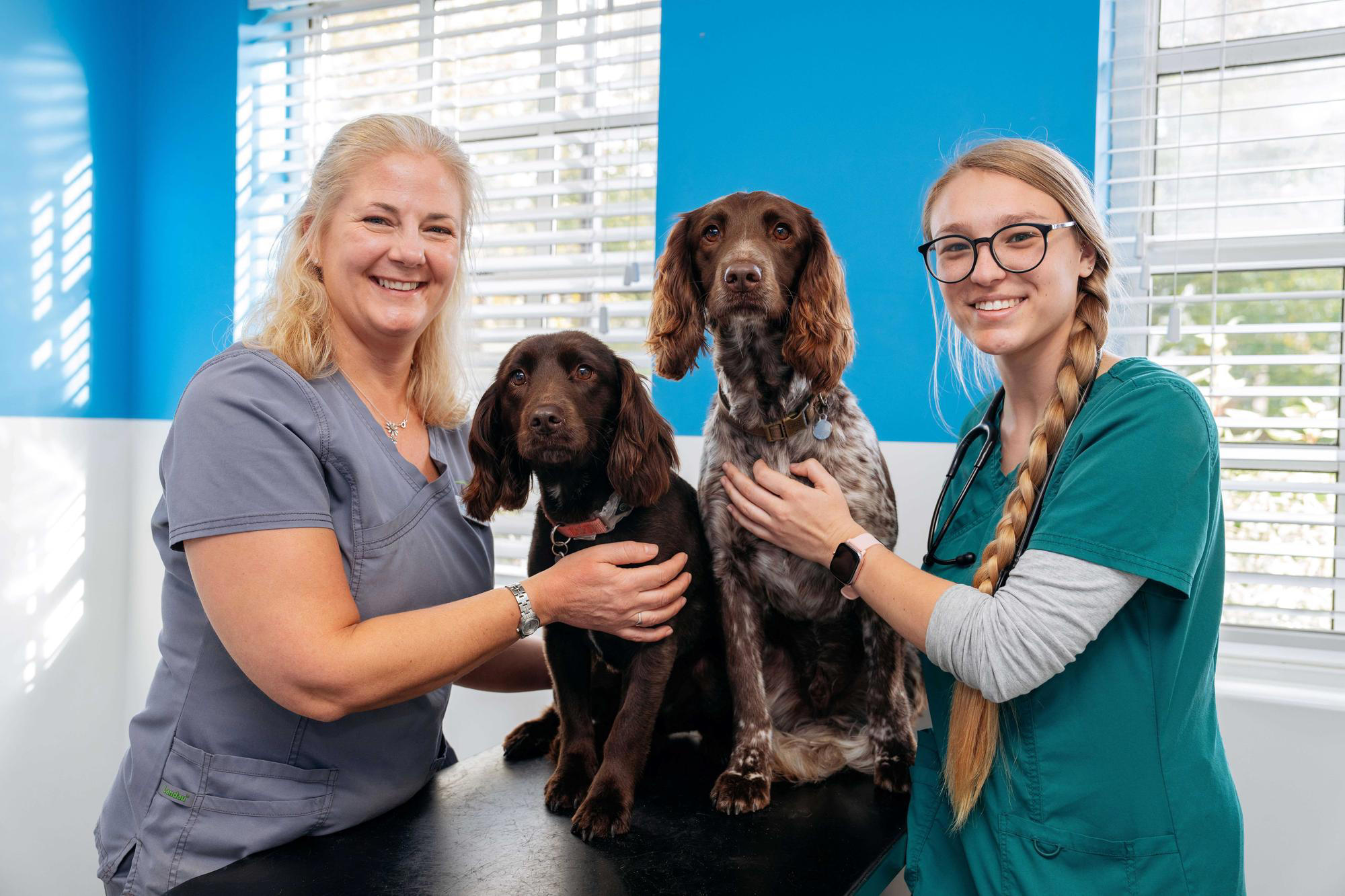 Hampshire Vet Issues Warning To Dog Owners Following Mushroom Poisoning