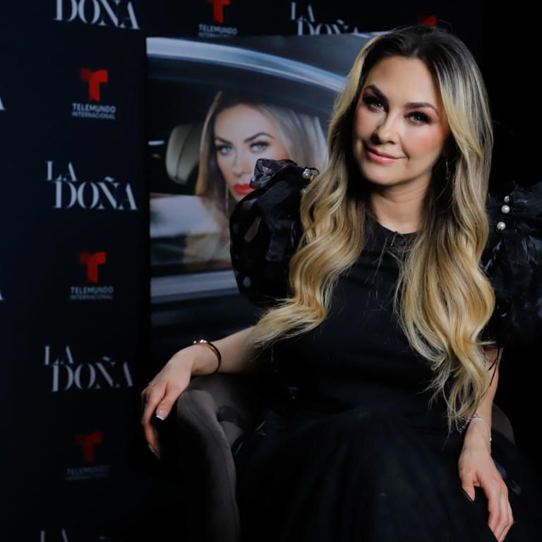 Desvelando La Controversia Aracely Arámbula Habla Sobre La Demanda