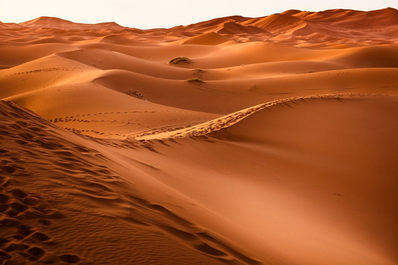 The Sahara Desert Used To Be A Green Savannah Research Explains Why