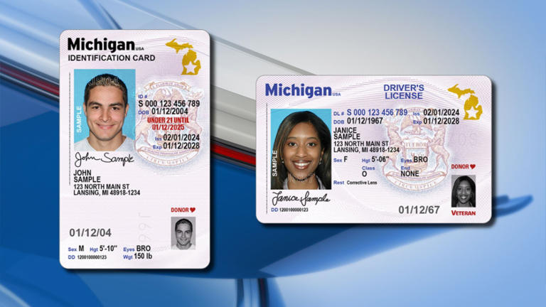 Green And White License Plate Returning New Drivers Licenses And Ids