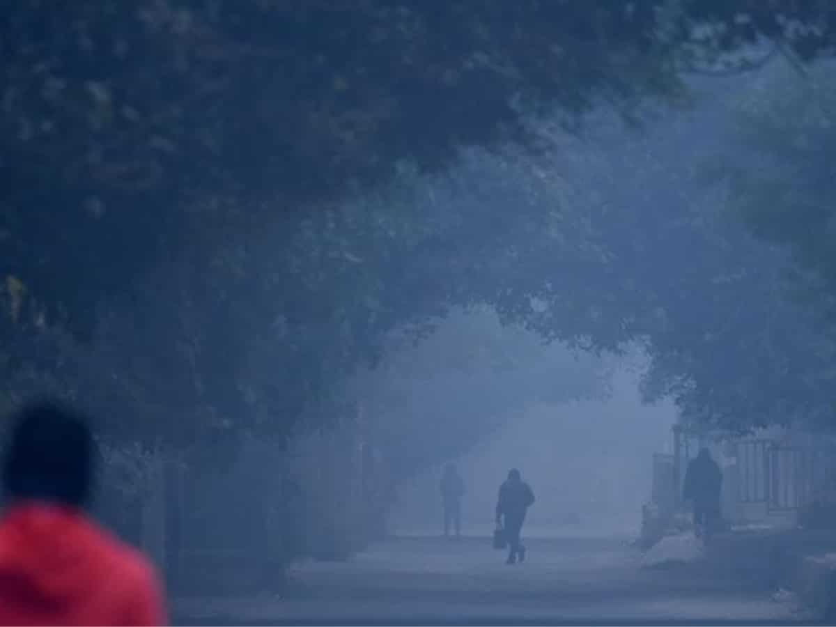 India Delhi Wakes Up To A Foggy Christmas Morning And Chilly Weather