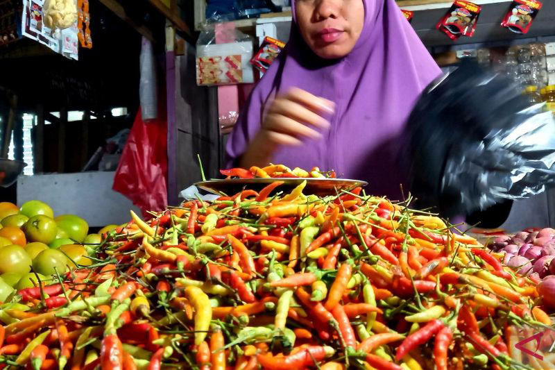 Harga Cabai Rawit Di Gorontalo Masih Mahal Rp150 Ribu Per Kg