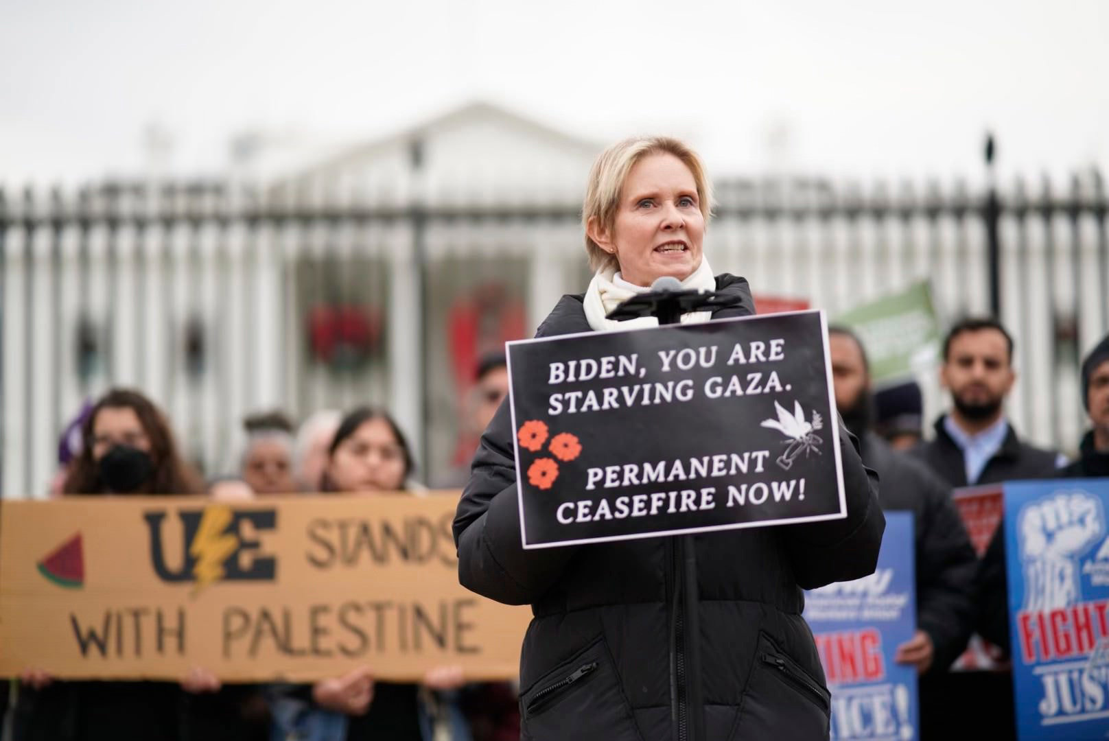 Cynthia Nixon Zohran Mamdani On Gaza Ceasefire Hunger Strike Israel War