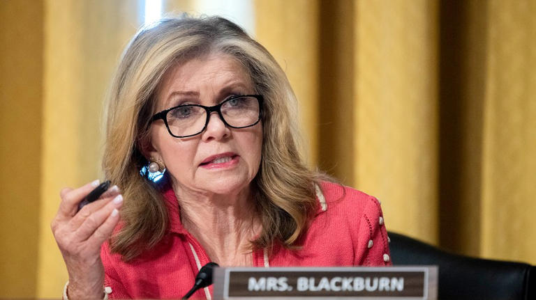 Sen Marsha Blackburn Visits Southern Border