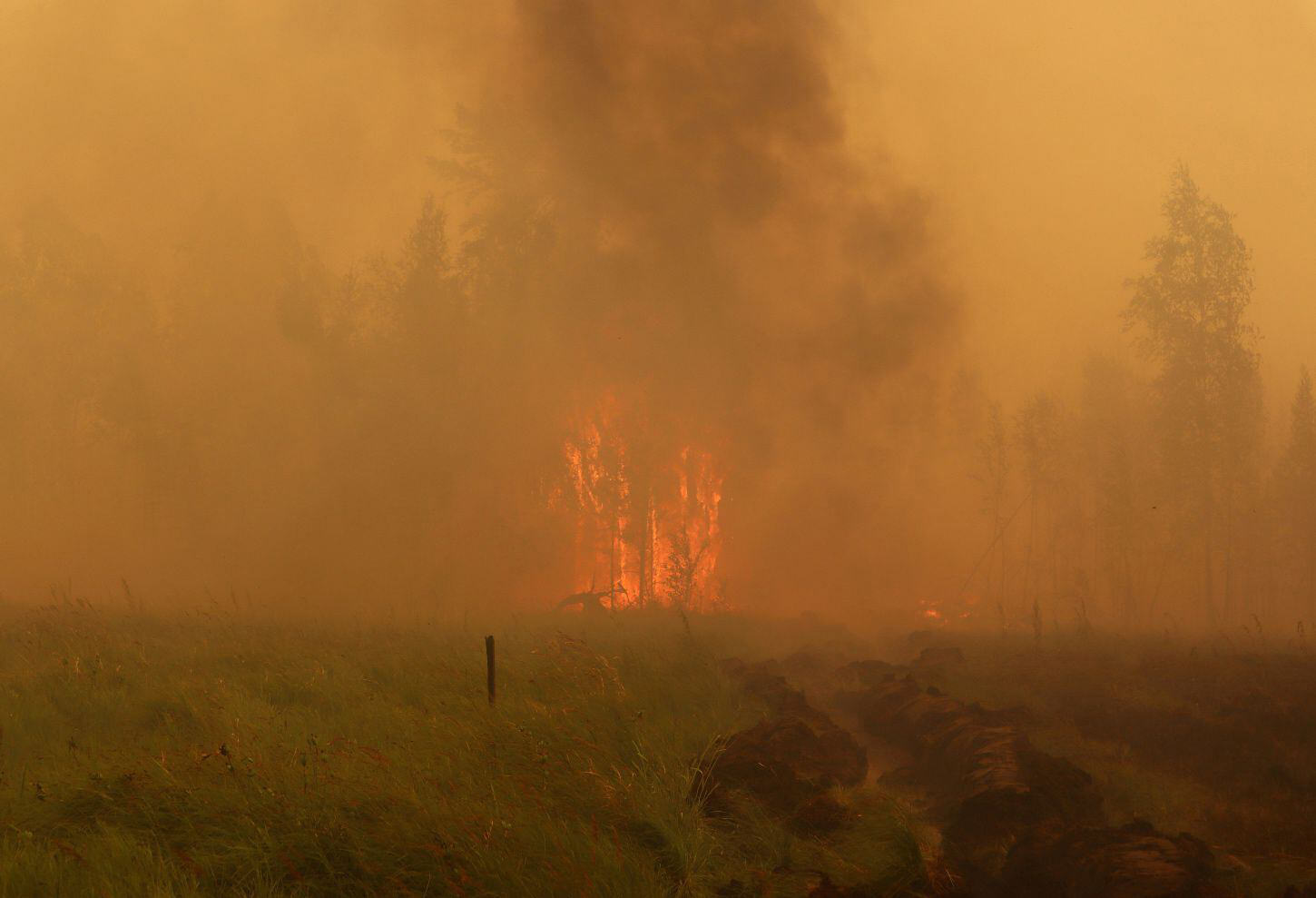 Declaran Alerta Roja En Quilpué Por Incendio Forestal De