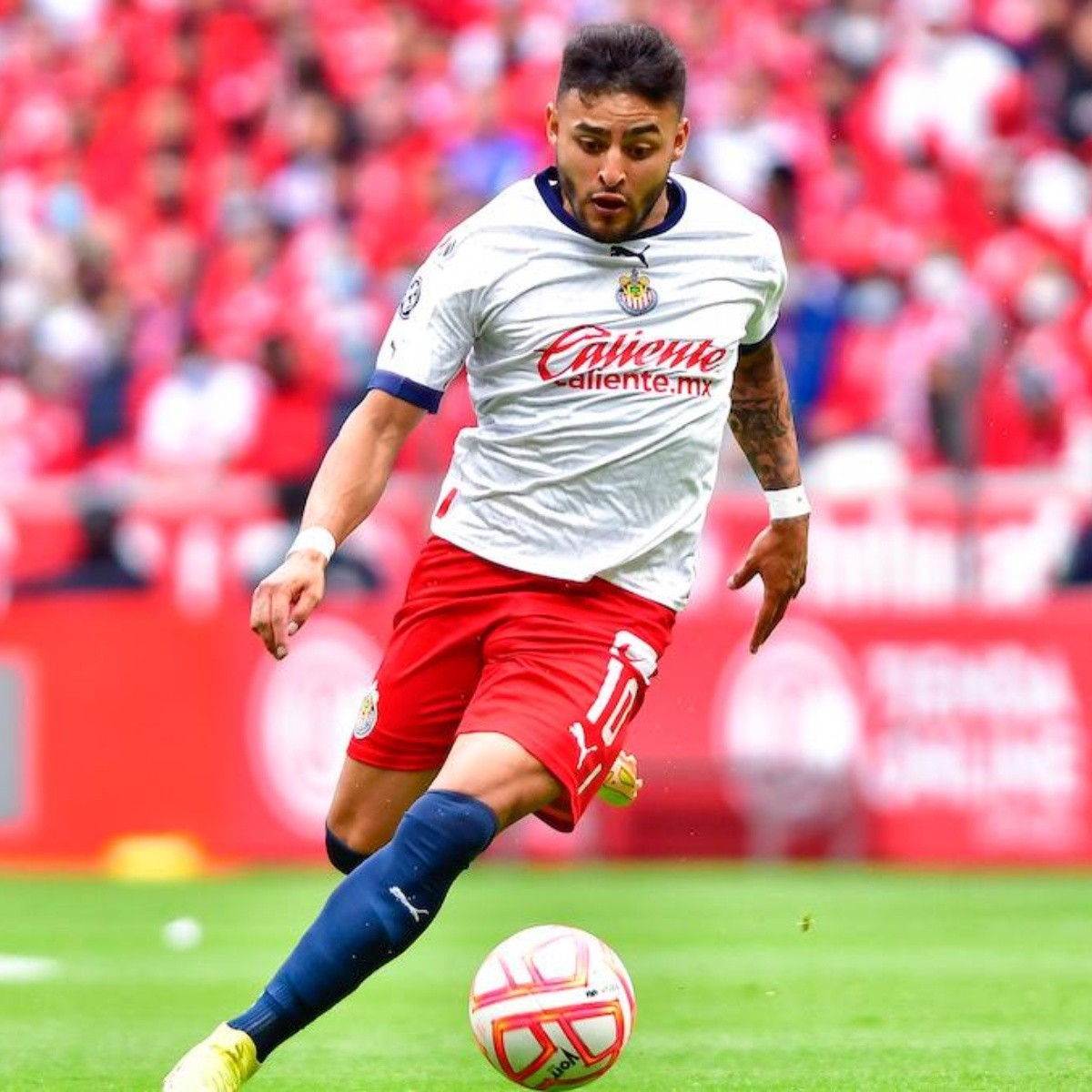 Liga Mx ¿volverá A Casa Alexis Vega Regresaría Al Toluca Fc Al No