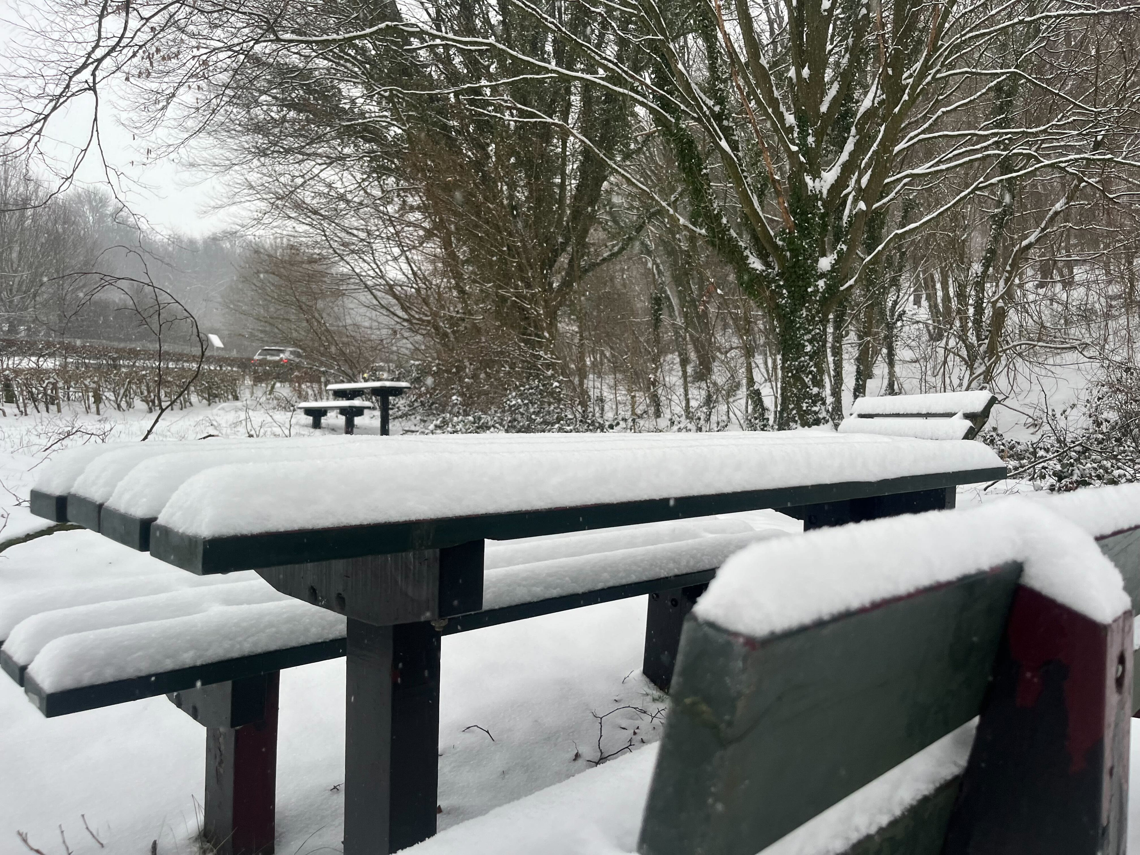 Teruglezen Flinke Laag Sneeuw Gevallen In Zuid Limburg