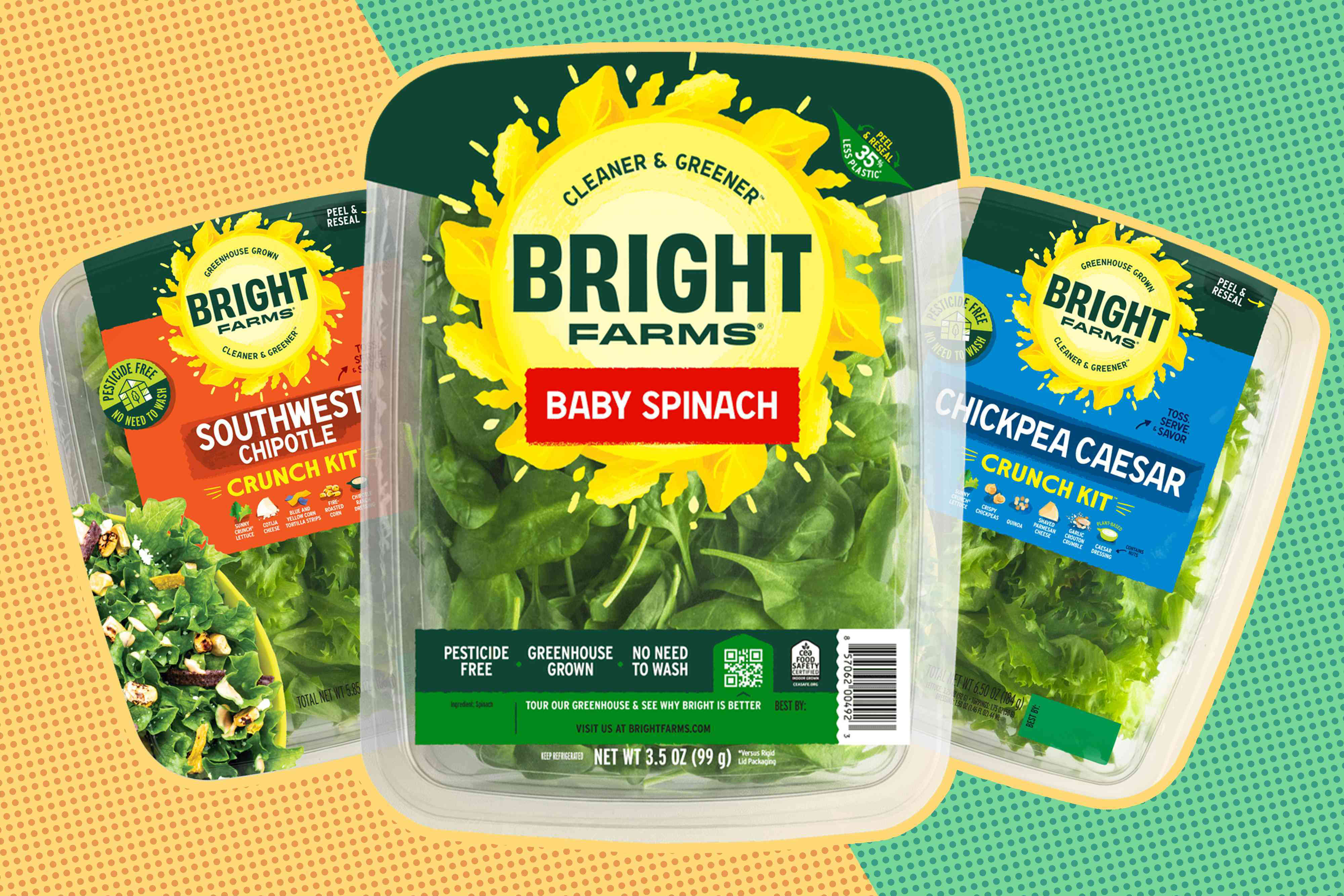 5 Popular Spinach And Salad Kits Recalled Due To Potential Listeria