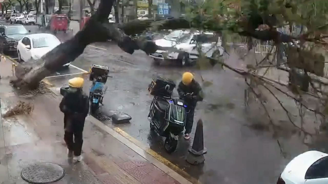 Two Delivery Riders Narrowly Escape Being Crushed By Falling Tree