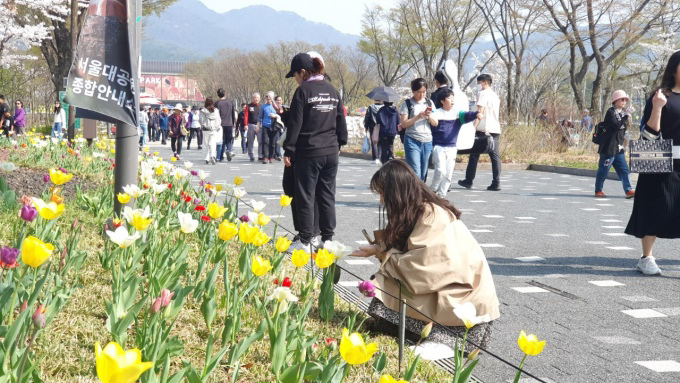 서울대공원 대공원역~동물원 15km 이색 꽃길정원 새단장