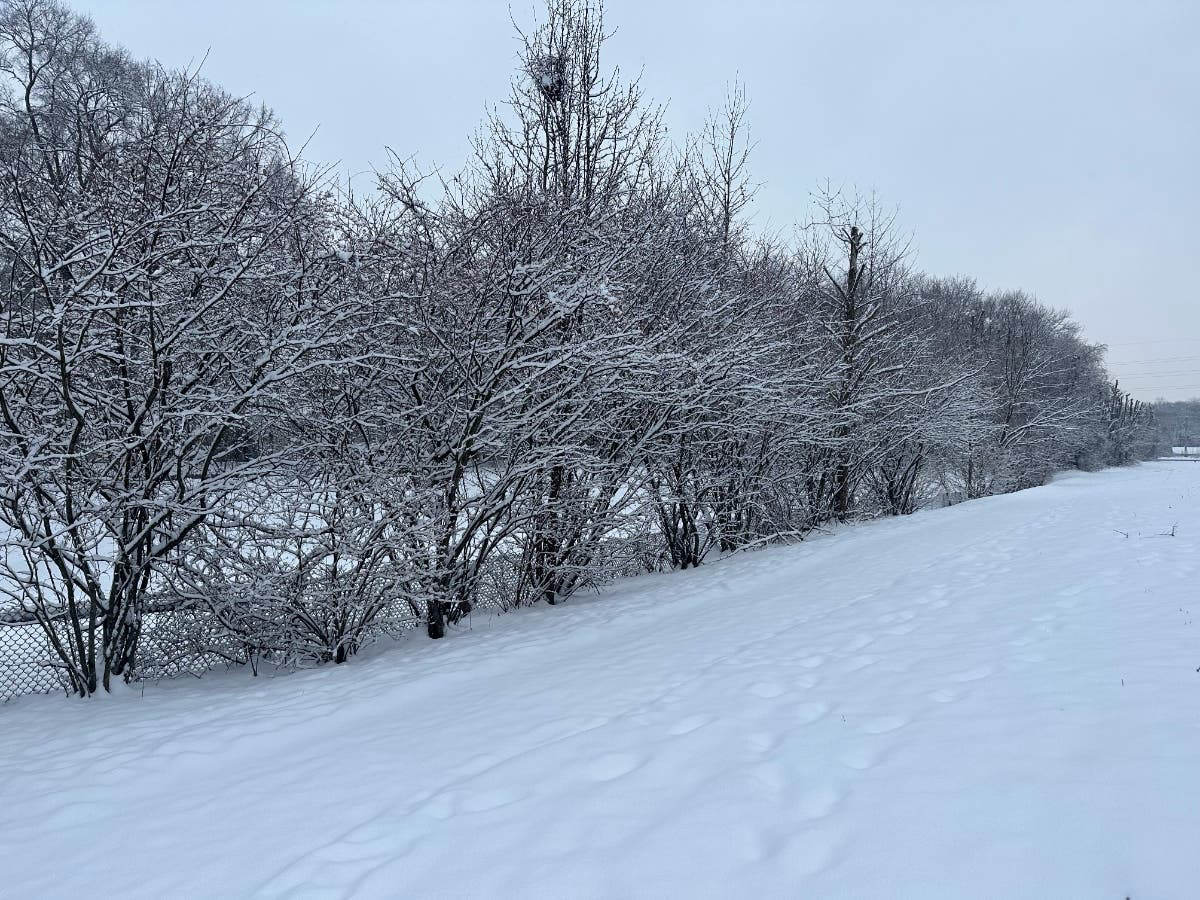 How Much Snow Can Md Expect This Winter See New Accuweather Forecast