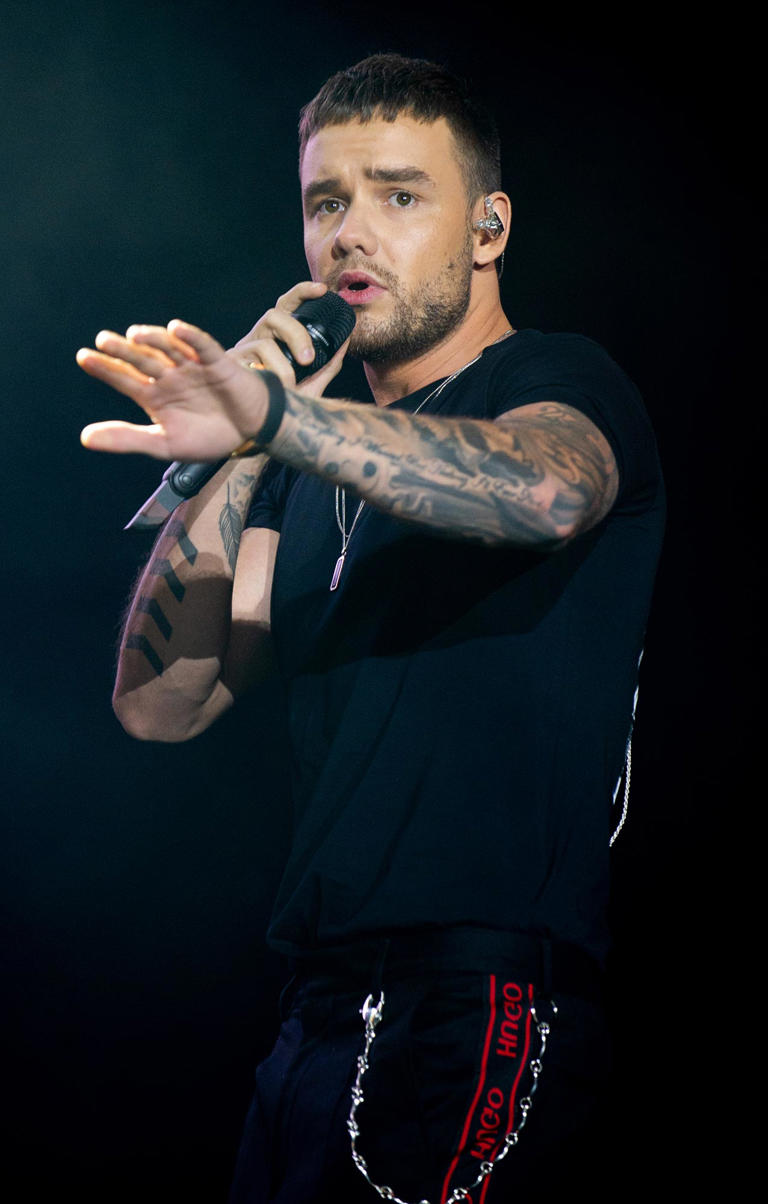 Liam Paynes Quotes About His Mental Health Struggles Over The Years