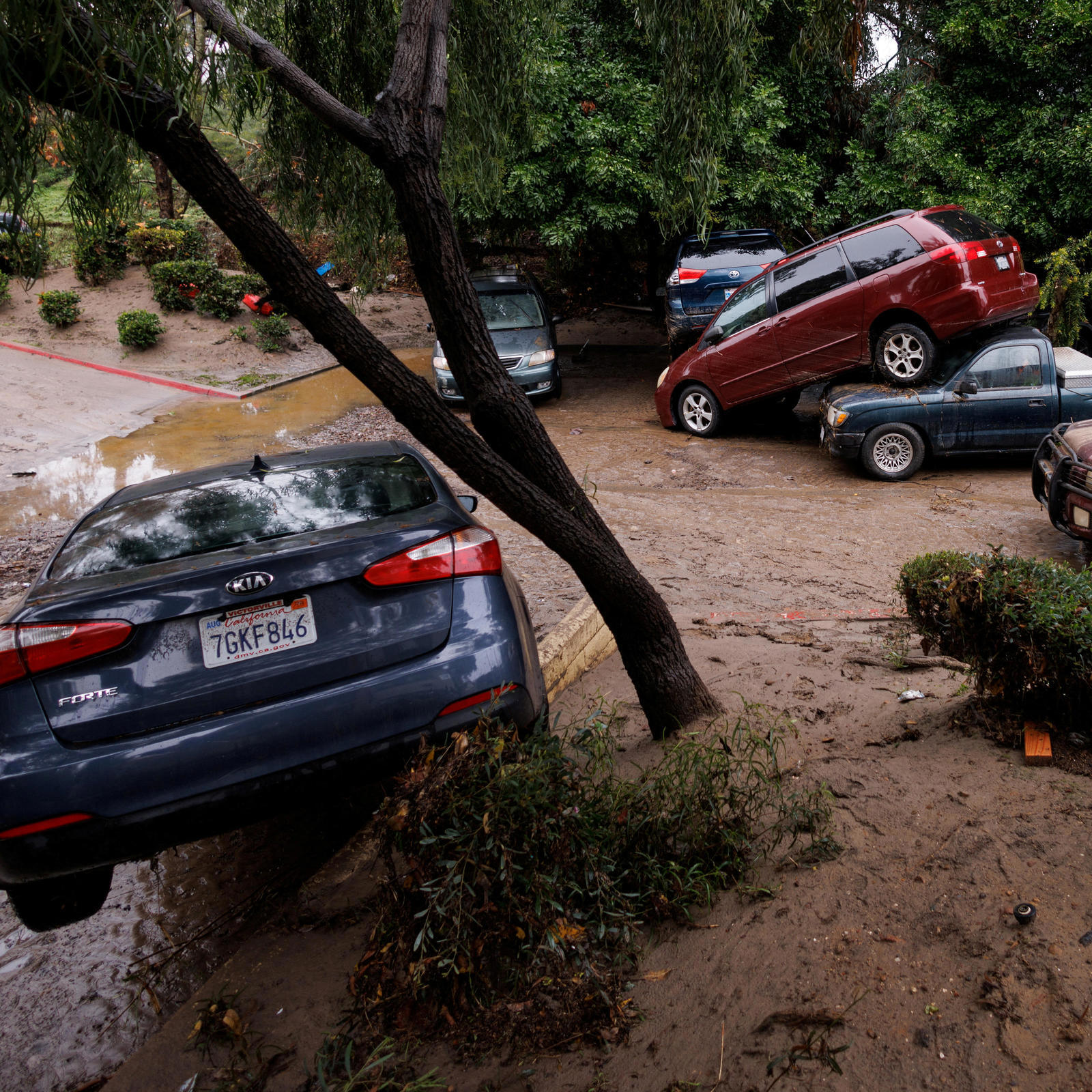 San Diego Sees Its Rainiest Day In January History