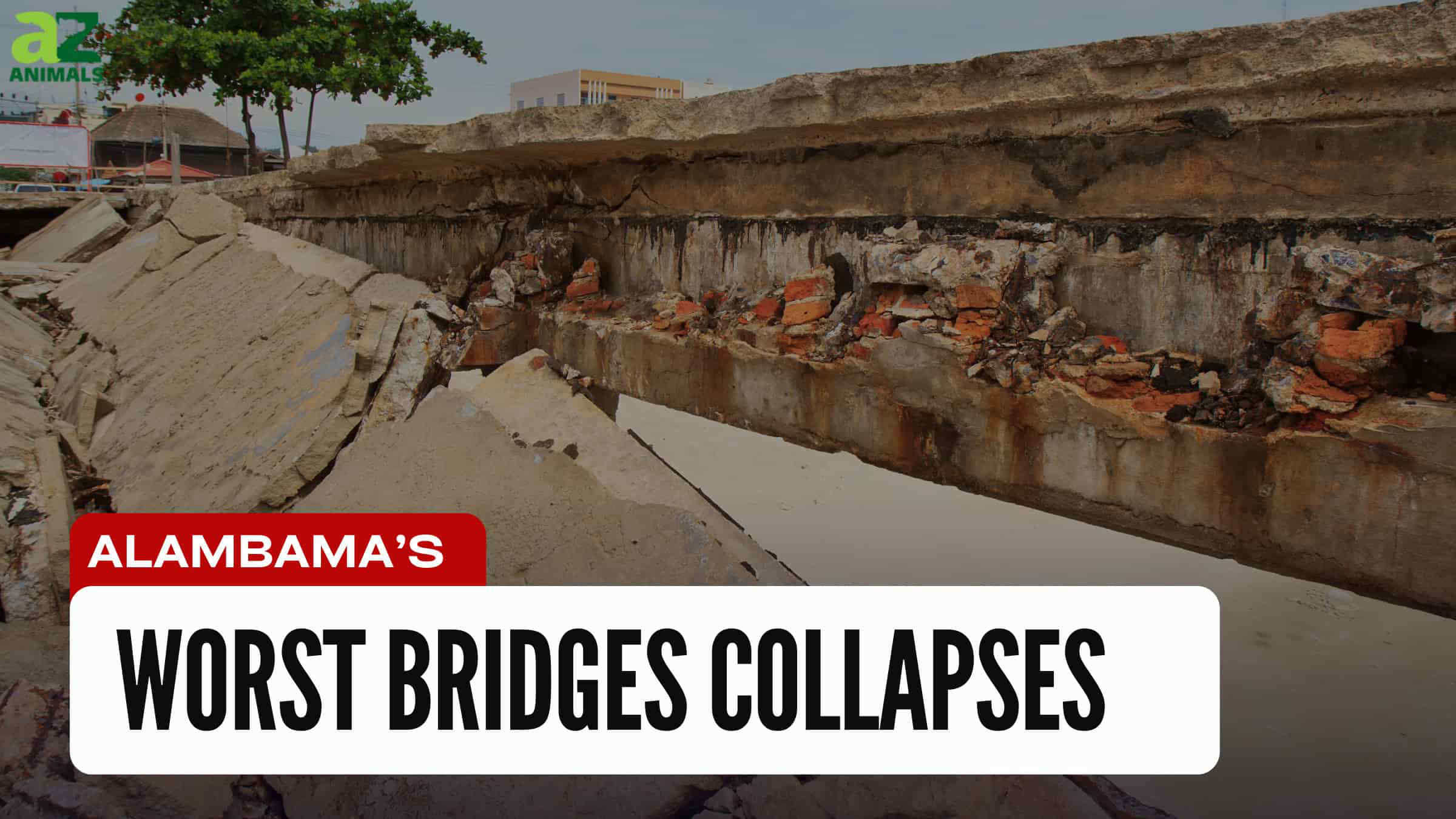 Discover The 5 Most Devastating Bridge Collapses In Alabama