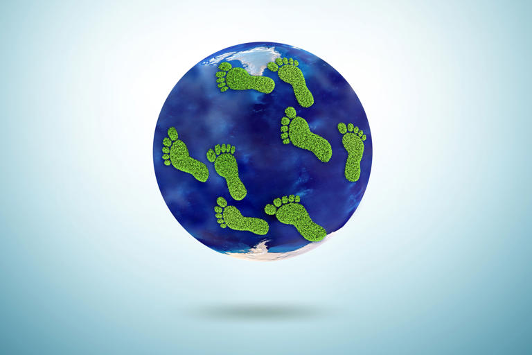 10 Simple Ways To Reduce Your Carbon Footprint