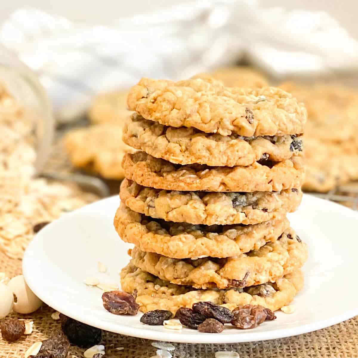 Soft And Chewy Oatmeal Raisin Cookies