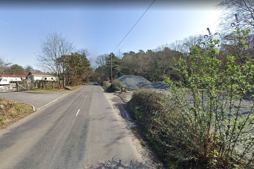 Woman Seriously Hurt As Car Crashes Into Tree At Haldon Forest