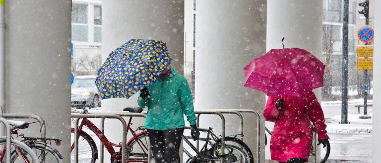 Neve Pioggia E Vento Di Burrasca Le Previsioni Meteo In Emilia Romagna