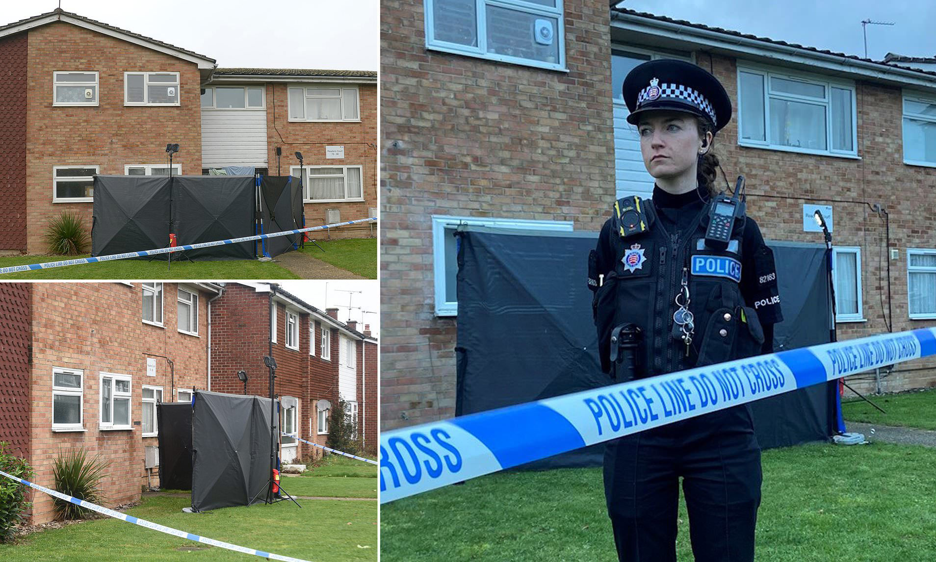 Neighbours Heard Woman Screaming Before Police Arrested 47 Year Old