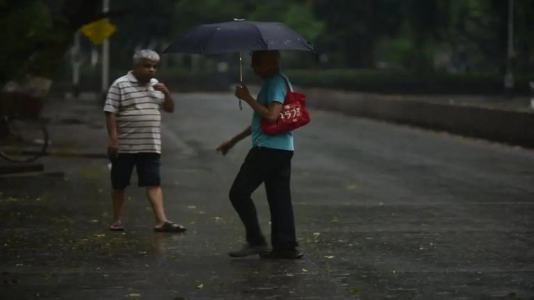 Maharashtra Unseasonal Rain Hailstorms Hit Crops In Vidarbha Region