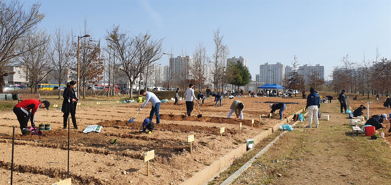 전남 나주혁신도시 빛가람공원 텃밭 분양