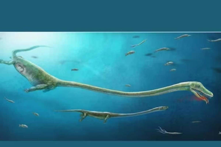 240 Million Year Old Fossil Of Dragon Like Creature Found In China