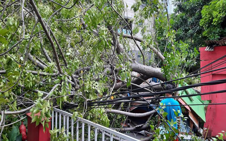 Angin Kencang Landa Padang Pohon Tumbang Timpa Mobil Hingga Rumah