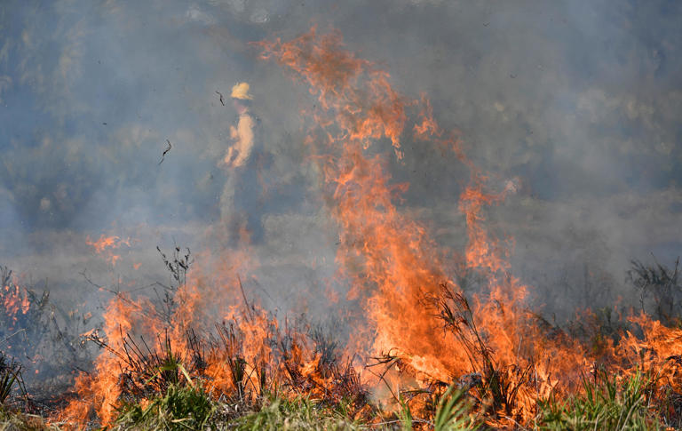 Where Are The Wildfires In Texas Right Now Map Shows Extent Of Devastation