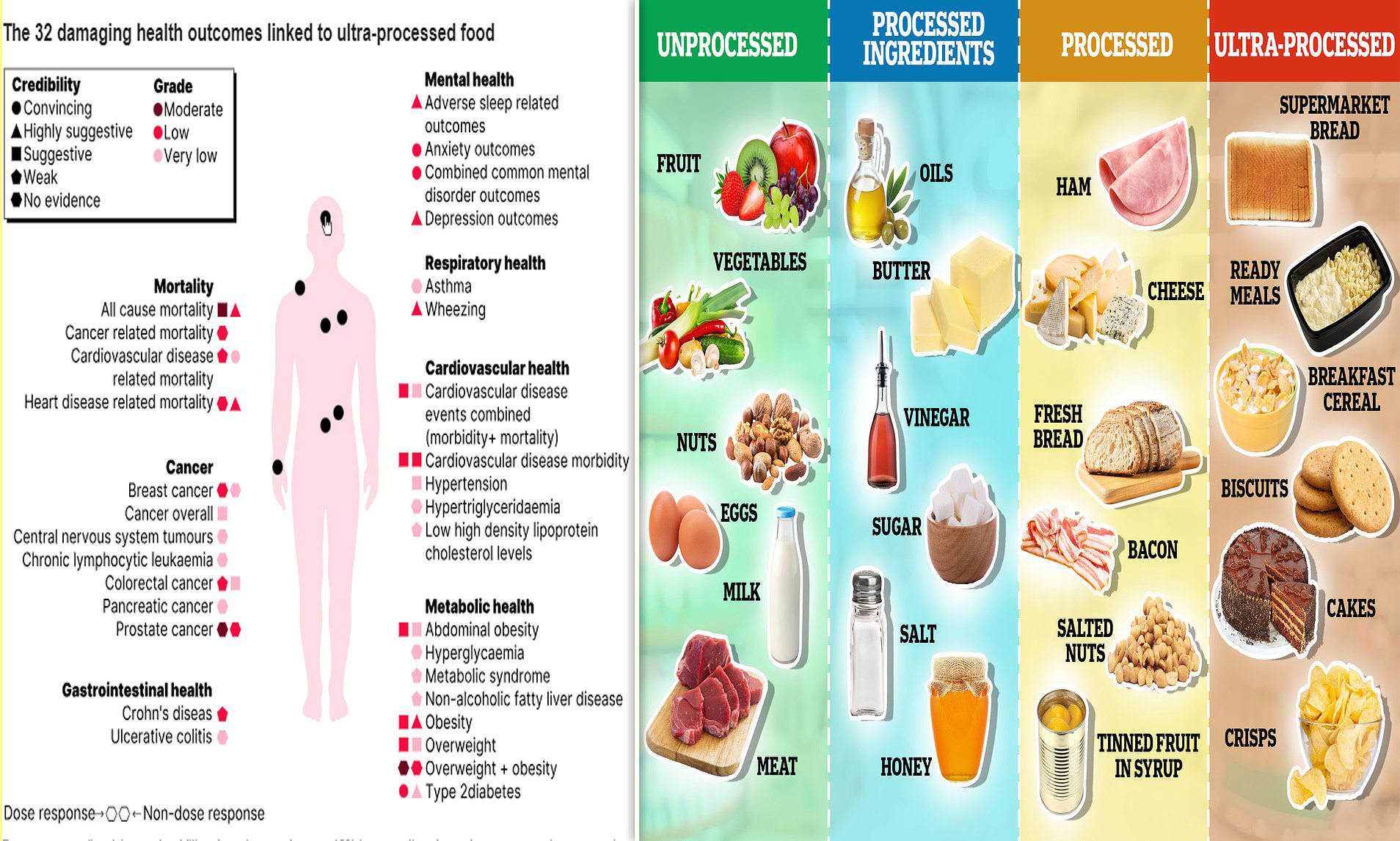 Ultraprocessed Foods Are Harmful To Every Part Of The Body Biggest