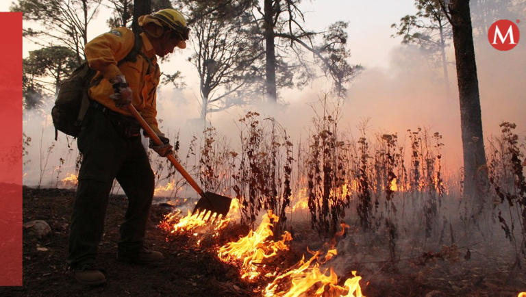 Van 180 Hectáreas Afectadas Por Incendio En Sierra De Hidalgo Tamaulipas