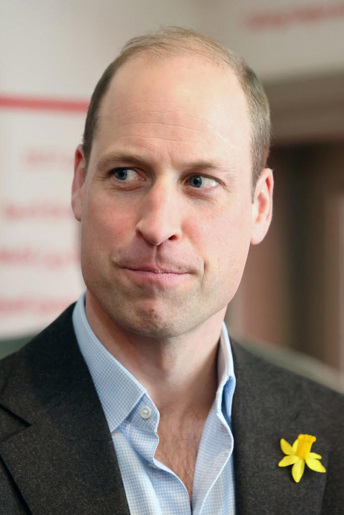 Prince William Completely Ignores Question About Kate Middletons Recovery