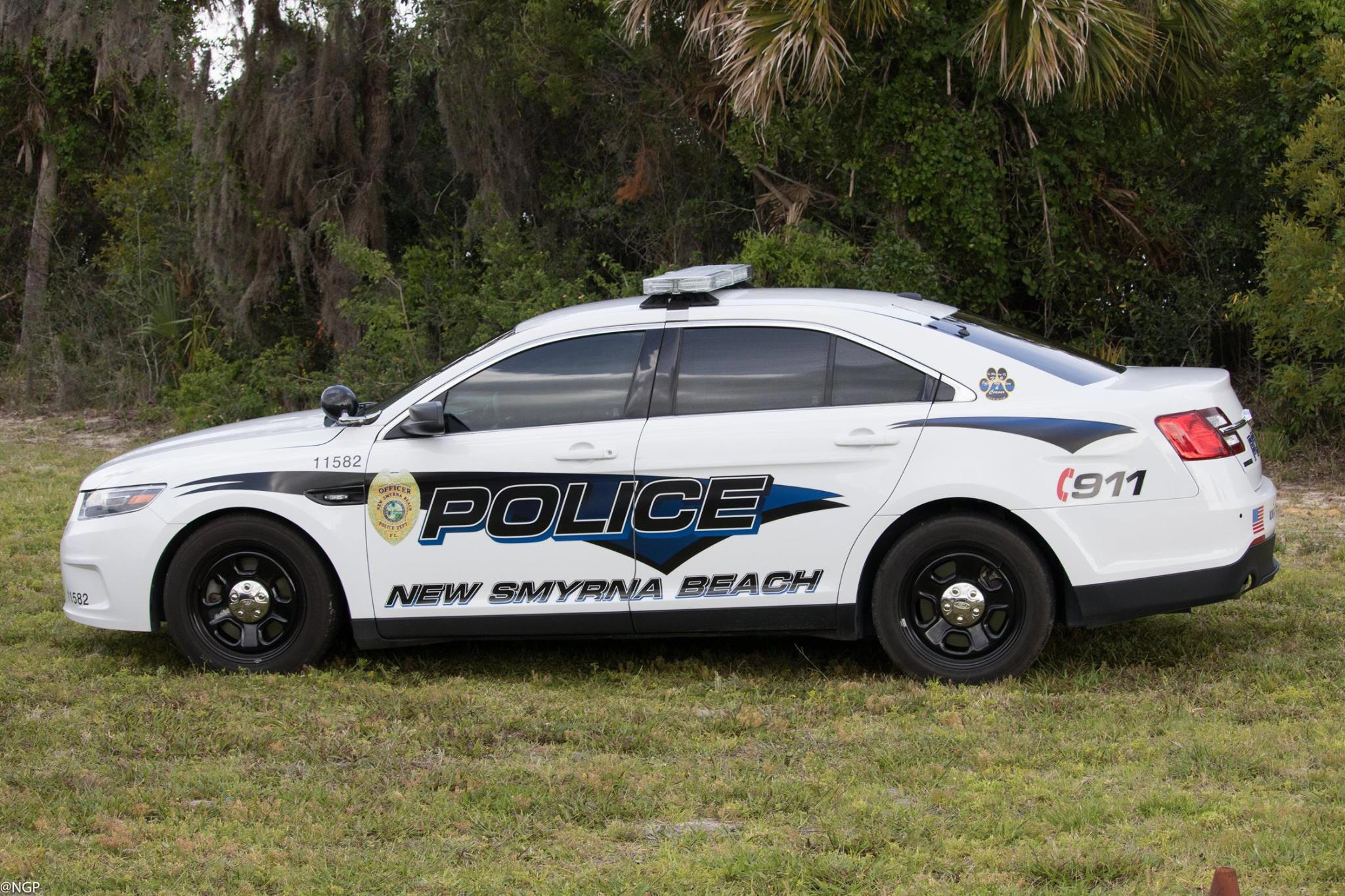 New Smyrna Beach Police Officer Charged With Felony Domestic Battery By