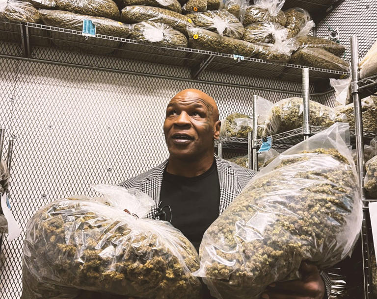 Mike Tyson Selling Edibles Shaped Like A Chewed Ear — And Now You Can