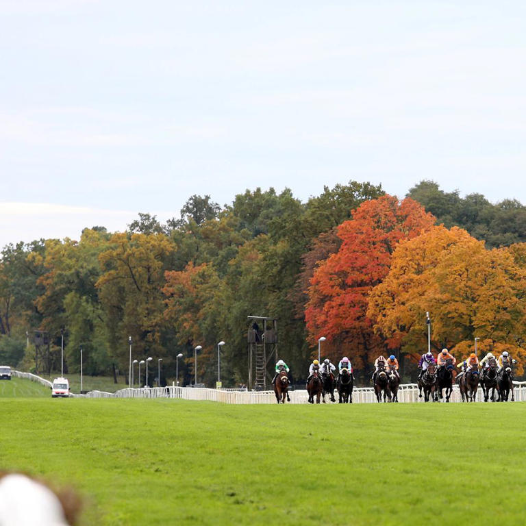 Saisonauftakt In Hoppegarten Mr Hollywood Bezwingt Derbysieger